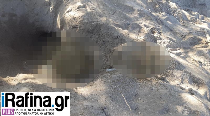 Ραφήνα: Παιδί έπαιζε στην άμμο και ξέθαψε ανθρώπινο κρανίο - To Αεροδρόμιο